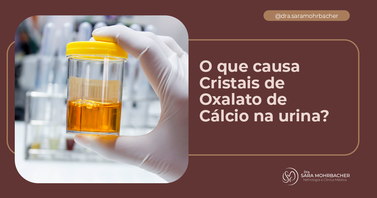 O que causa Cristais de Oxalato de Cálcio na urina? - Dra. Sara Mohrbacher