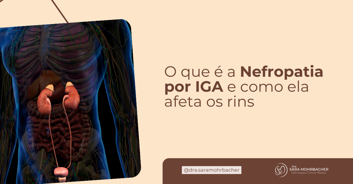 O que é Nefropatia por IGA e com ela afeta os rins - Dra. Sara Mohrbacher